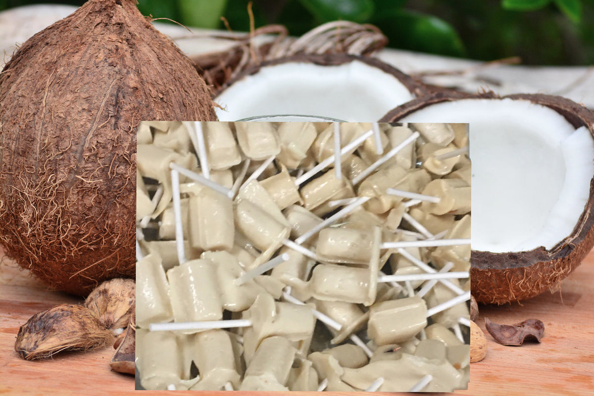 Coconut Lollipops (Pilones de Coco) – Dulces Tipicos Puertorriqueños